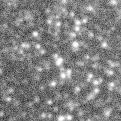 M31 Star Cluster Images
